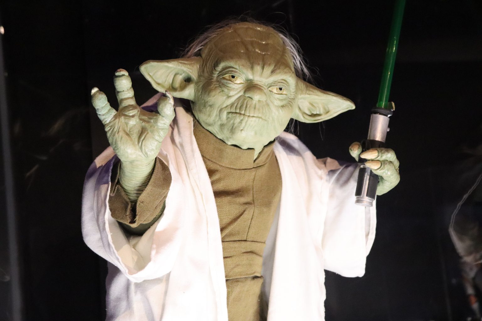 Startseite | The Fans Strike Back